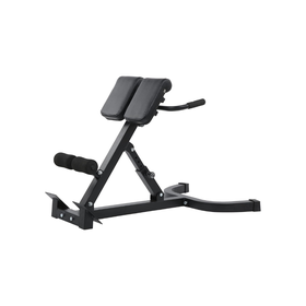 Roman Chair Foldable Hyperextension Bench & Multi-Functional Exercise ...
