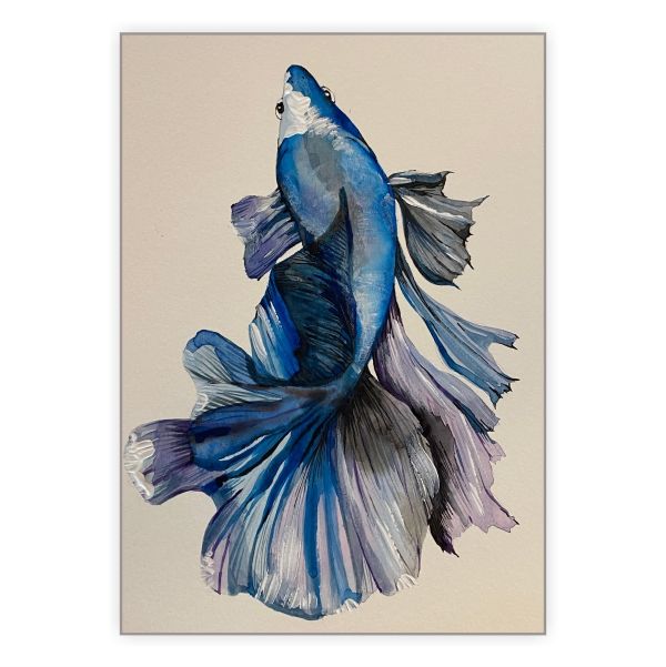 Siamese Fighting Fish - A1 Poster | Shop Today. Get it Tomorrow ...