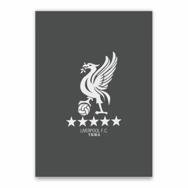 Liverpool FC YNWA Grey Poster - A1 | Shop Today. Get it Tomorrow ...