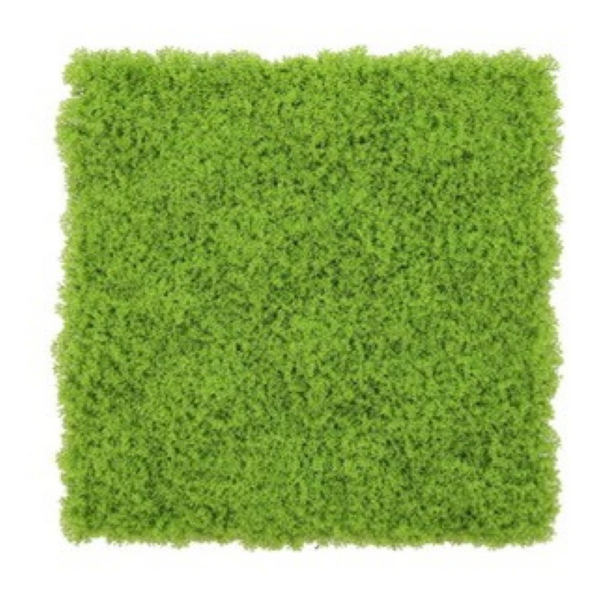 Artificial Moss Square Matt Green UV Resistant - 50 x 50cm | Shop Today ...