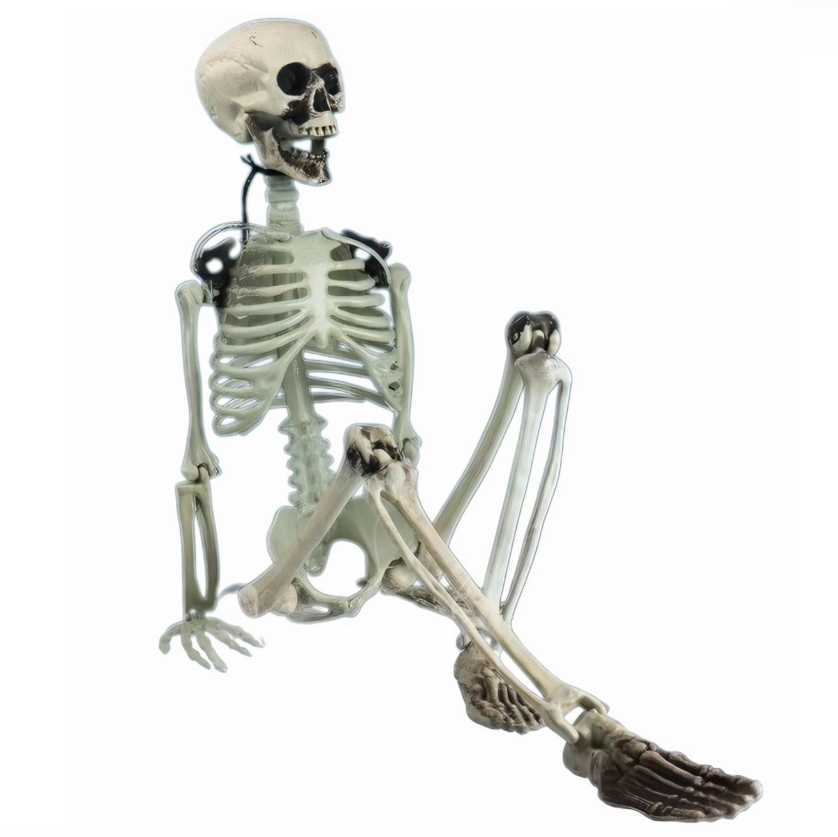 Large Hanging Poseable Halloween Skeleton Prop (93cm) | Shop Today. Get ...