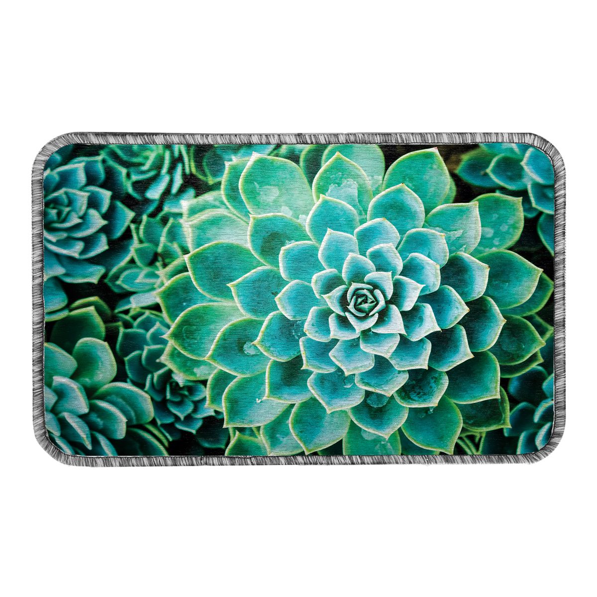 Succulents Chenille Rug - 1m x 60cm - Sand Colour Edging | Buy Online ...