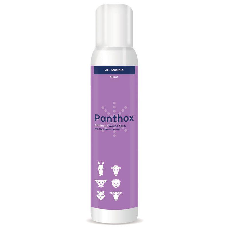 Panthox Wound Spray 200ml | Shop Today. Get it Tomorrow! | takealot.com