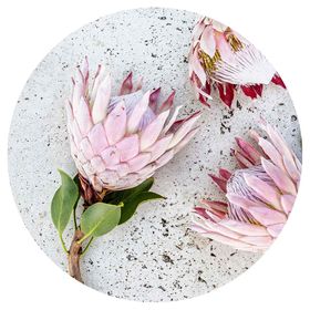 Protea on Granite Round Mouse Pad | Shop Today. Get it Tomorrow ...