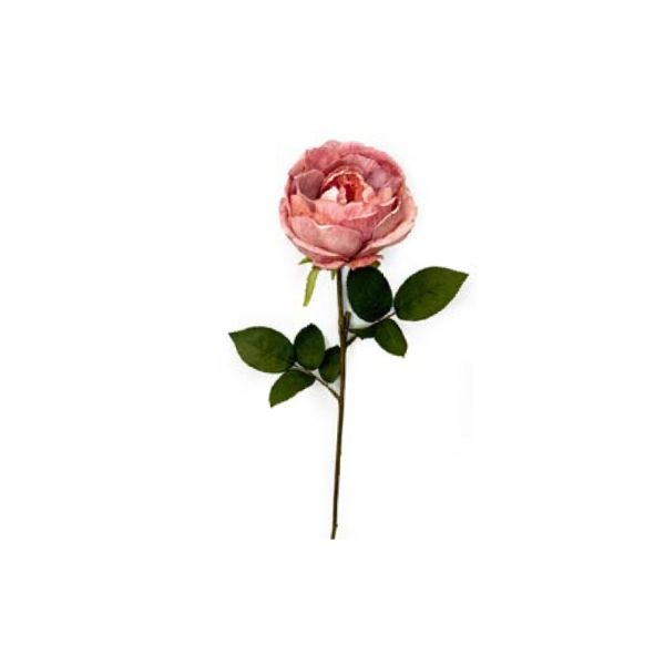 Toolhome Blossoms - Cabbage Rose Pink - 66cm | Shop Today. Get it ...