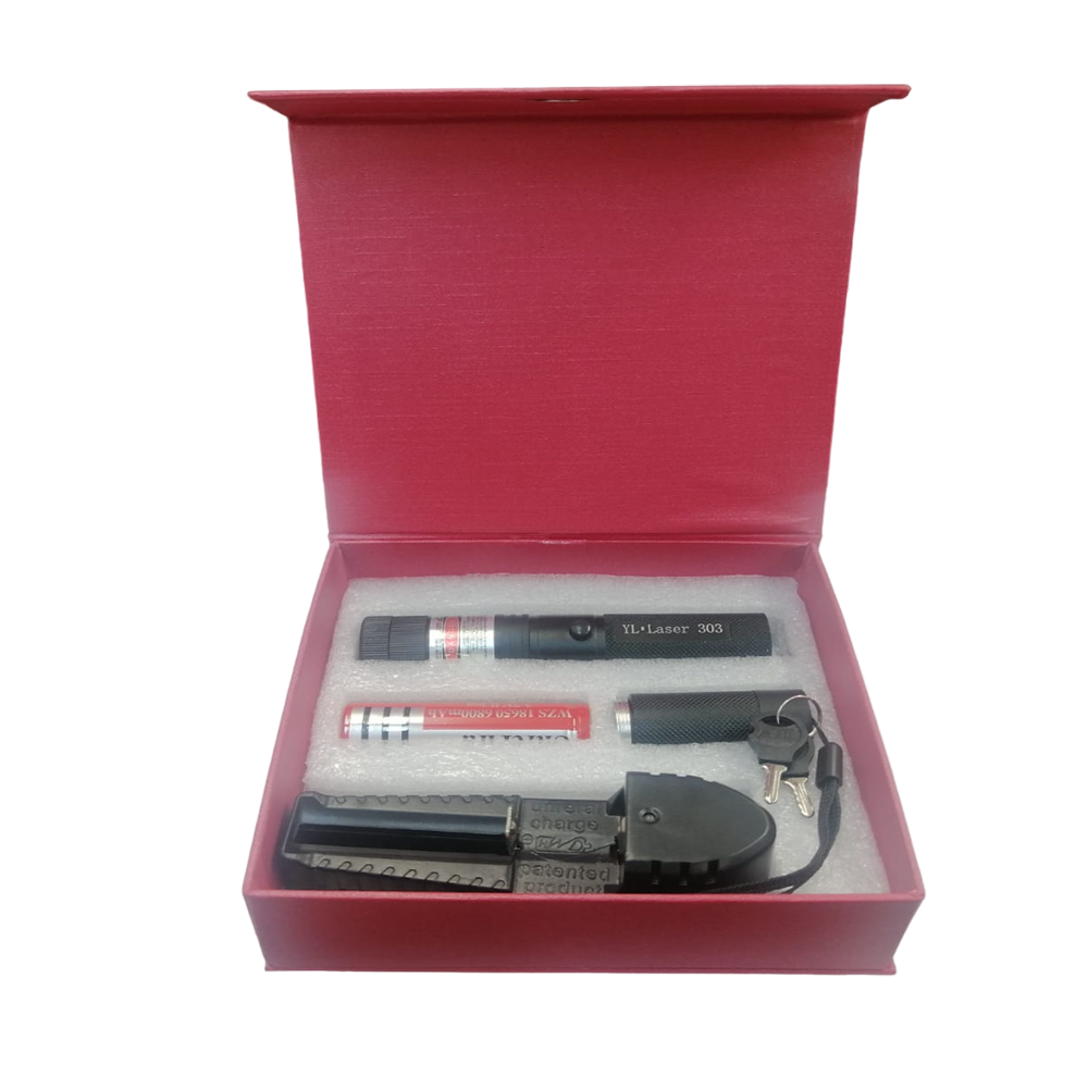 Laser Pointer | Shop Today. Get it Tomorrow! | takealot.com