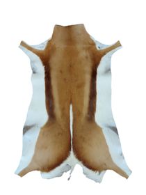 Springbok Skin | Shop Today. Get it Tomorrow! | takealot.com