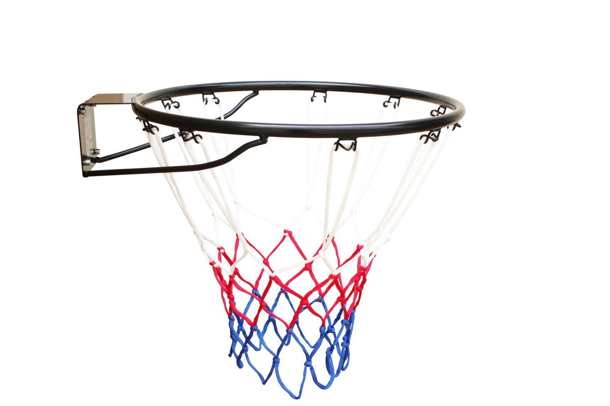 GetUp 18" Basketball Ring with Net | Shop Today. Get it Tomorrow ...