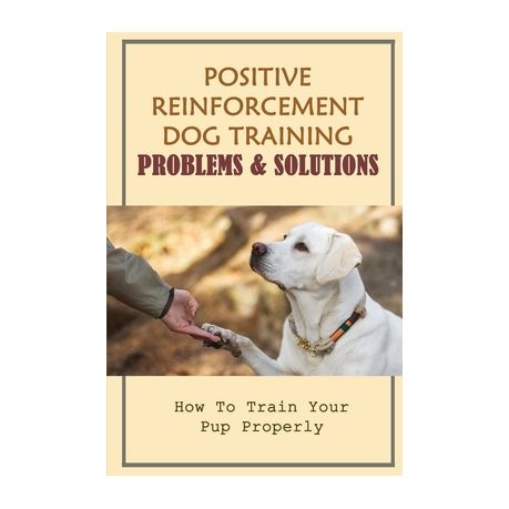 How Do I Discipline My Dog Positively