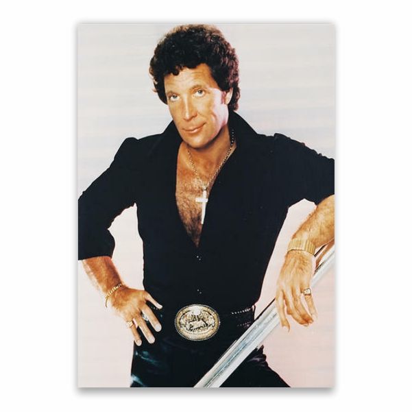 Tom Jones Poster - A1 | Shop Today. Get it Tomorrow! | takealot.com