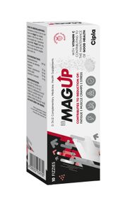 MagUP Fizzies 10s | Shop Today. Get it Tomorrow! | takealot.com