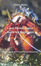 Land Hermit Crabs Guide for Beginners | Shop Today. Get it Tomorrow! | takealot.com