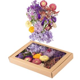 Dried Flowers, Dried Flowers, Dried Flowers for Crafts, Mini Dried ...