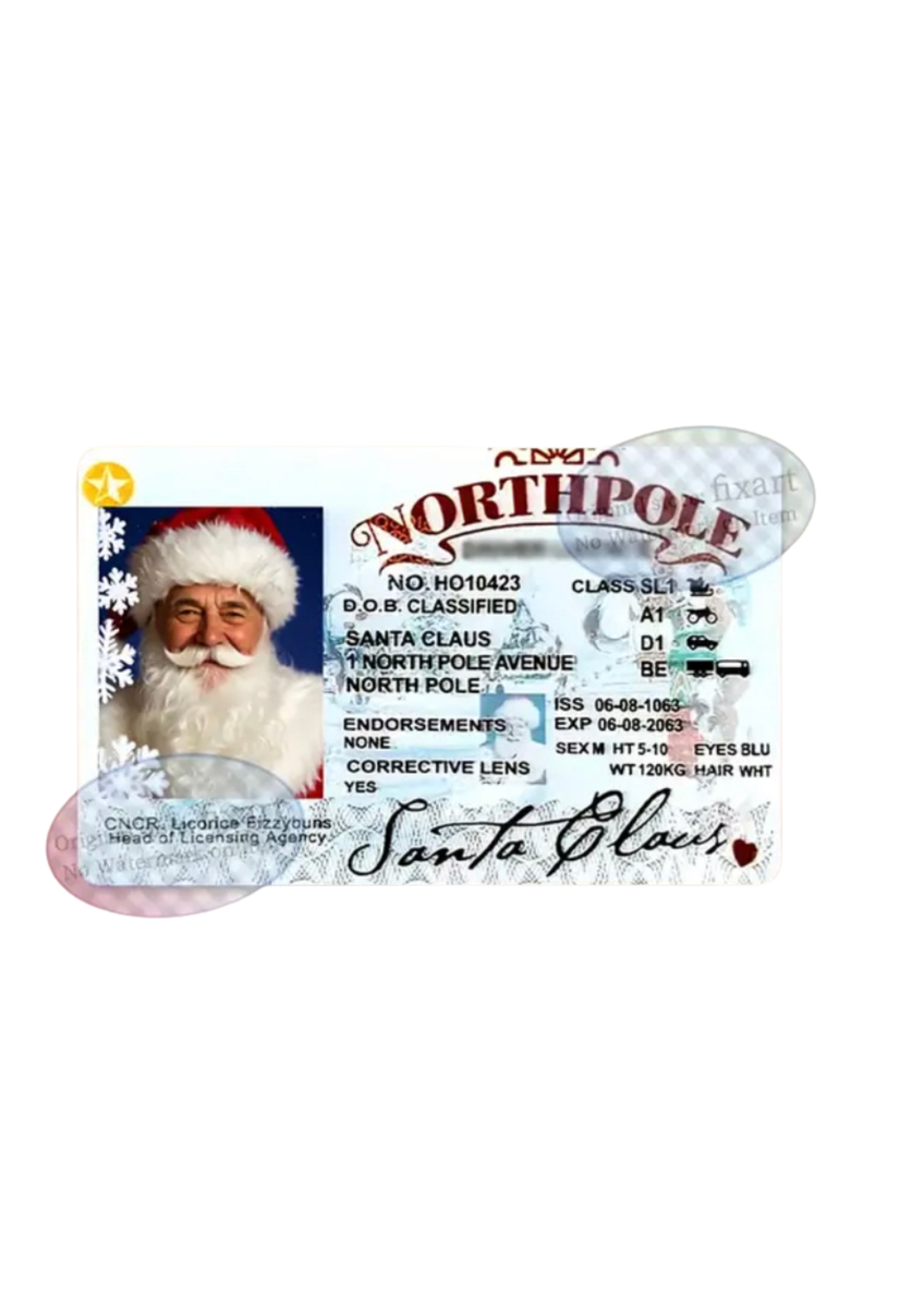 Fake Santa Claus ID Card Christmas Decoration | Shop Today. Get it ...