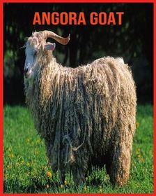 Angora Goat: Amazing Pictures & Fun Facts on Animals in Nature | Buy ...