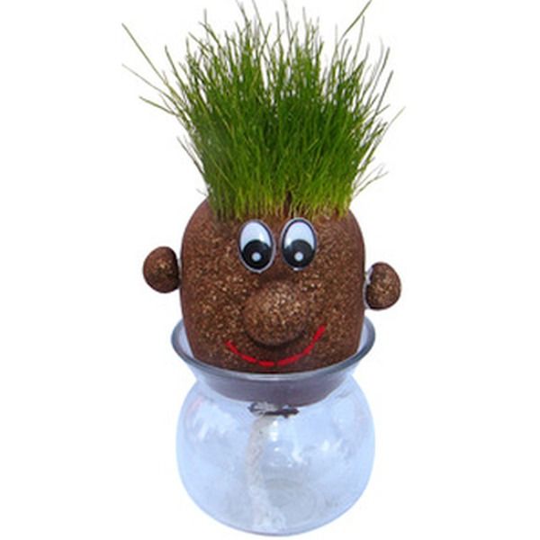Growing Your Own Grass Head | Shop Today. Get it Tomorrow! | takealot.com