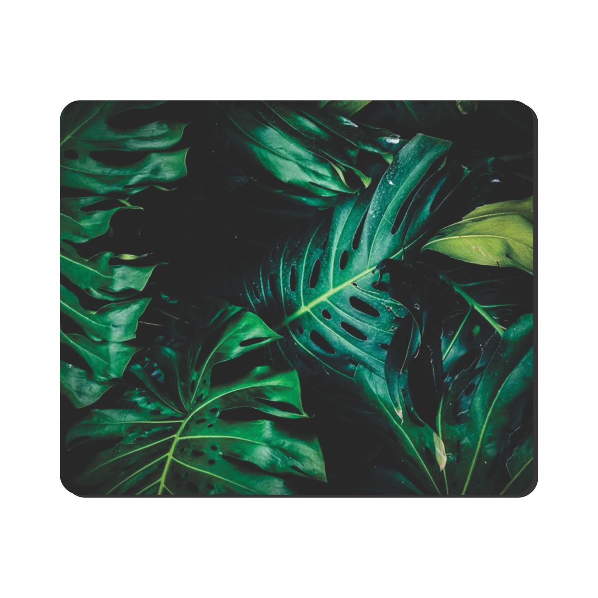 Mouse Pad - Big Green Leaves | Shop Today. Get it Tomorrow! | takealot.com