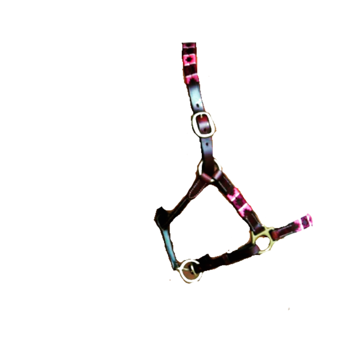 Brown Ava Pink Leather Halter/Headcollar | Shop Today. Get it Tomorrow ...