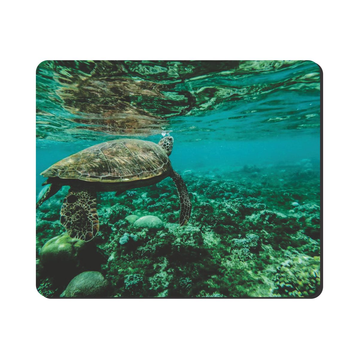 Mouse Pad - Underwater Turtle | Shop Today. Get it Tomorrow! | takealot.com