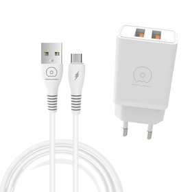 WUW - T55 Dual-USB Port Adapter With Type-C Cable - White | Shop Today ...