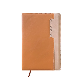 2025 Two-Tone Faux Leather Diary with Monthly Tabs - A5 | Shop Today ...