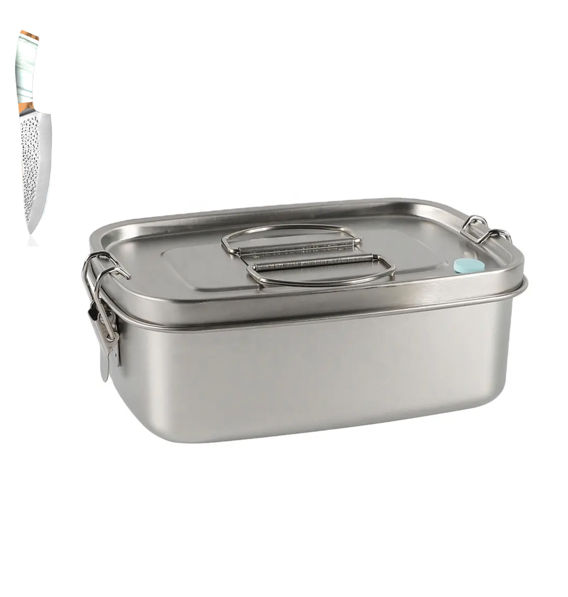 Premium 1.1L Stainless Steel Lunch Box with Clip Closure | Shop Today ...