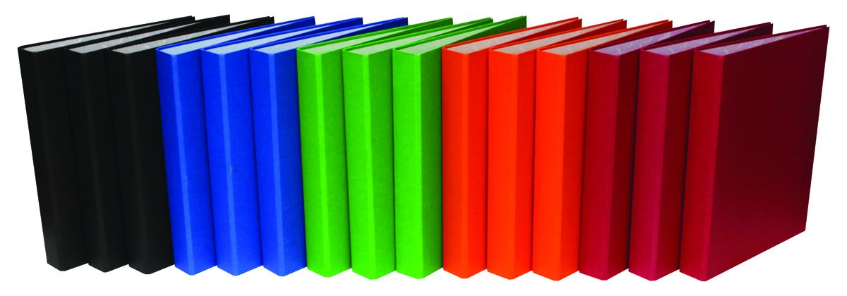 Files 20 Pack Board Ring Binder Assorted | Shop Today. Get it Tomorrow ...