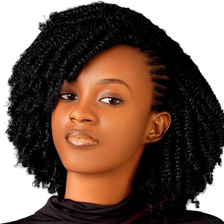 Sapphire Spring Twist Crochet Hair 8 Inch Fluffy Spring Twists Braiding ...