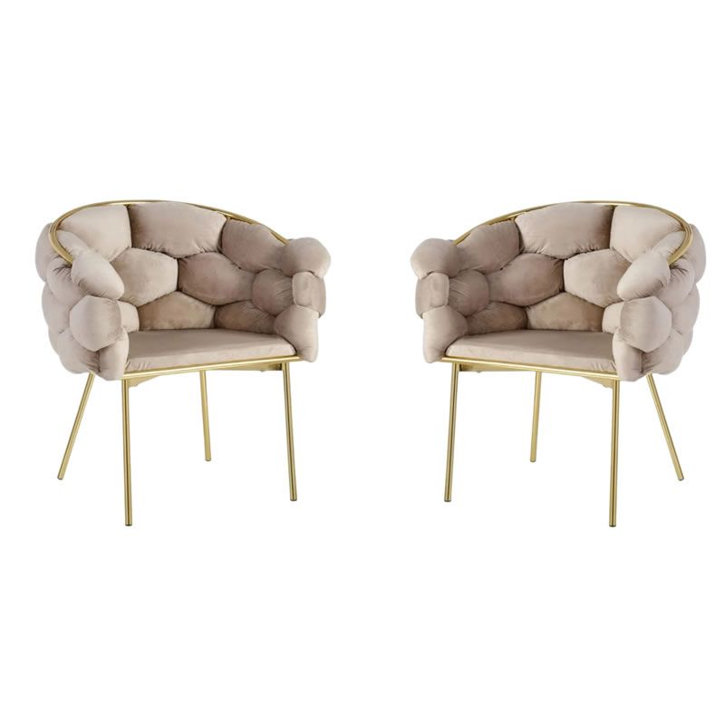 Modern Comfy C-shaped Dining Chair - Set of 2 - Y363 | Shop Today. Get ...