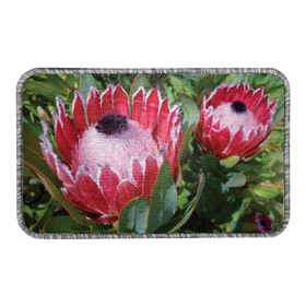 Two Wild Proteas Chenille Rug - 1m x 60cm | Buy Online in South Africa ...