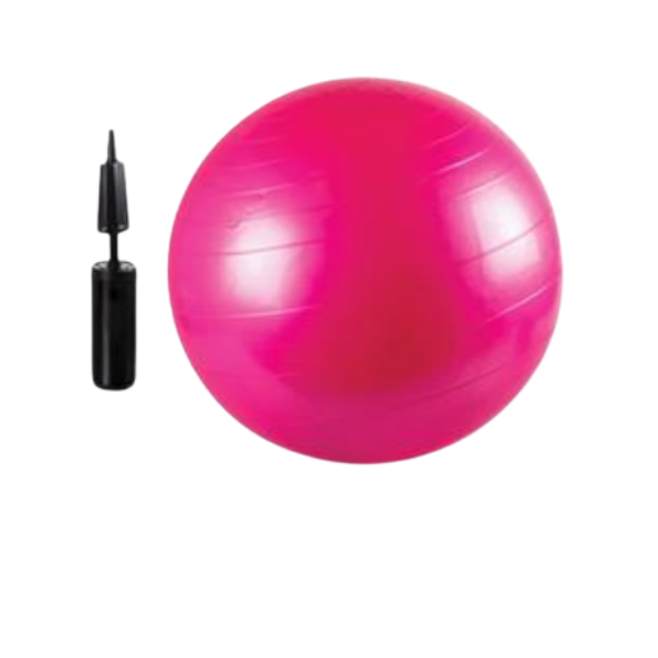 Pulse Active - Exercise Ball With Pump | Shop Today. Get it Tomorrow ...