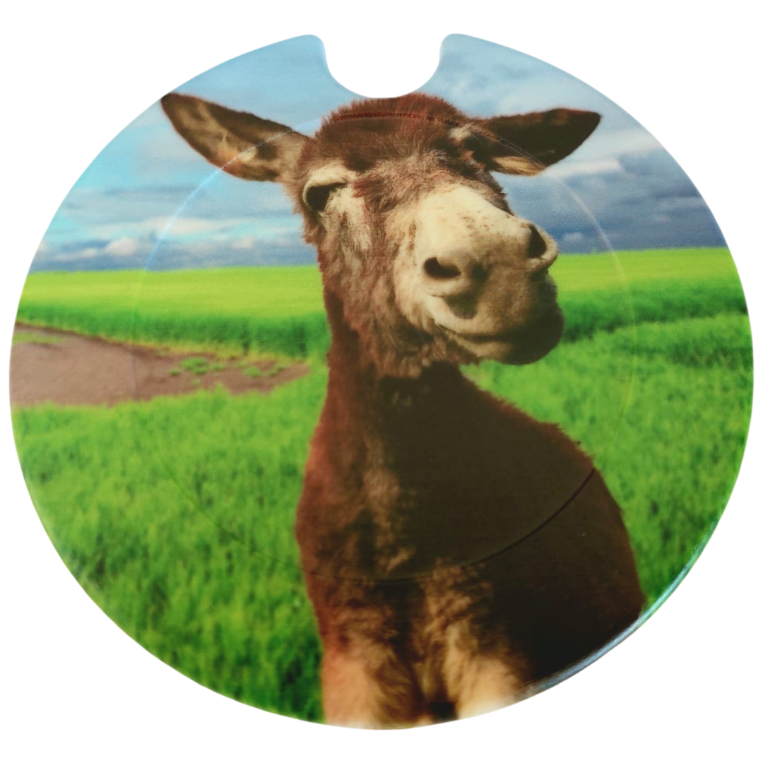 Licence Disk Holder - Cute Inquisitive Donkey | Shop Today. Get it ...