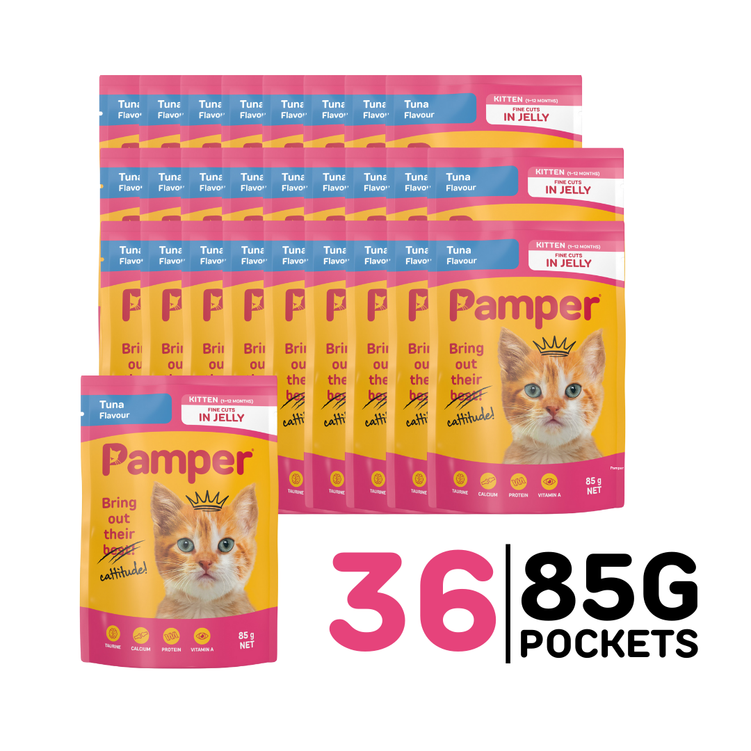 Pamper Kitten Tuna in Jelly wet cat food (36 x 85g) Pouches | Shop ...