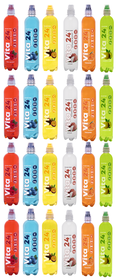 Vita24 Vitamin Boost drink 500ml Super Pack | Shop Today. Get it ...
