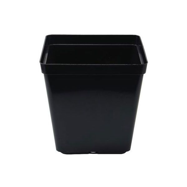 Square Plant Pot 13cm - 1.5L | Shop Today. Get it Tomorrow! | takealot.com