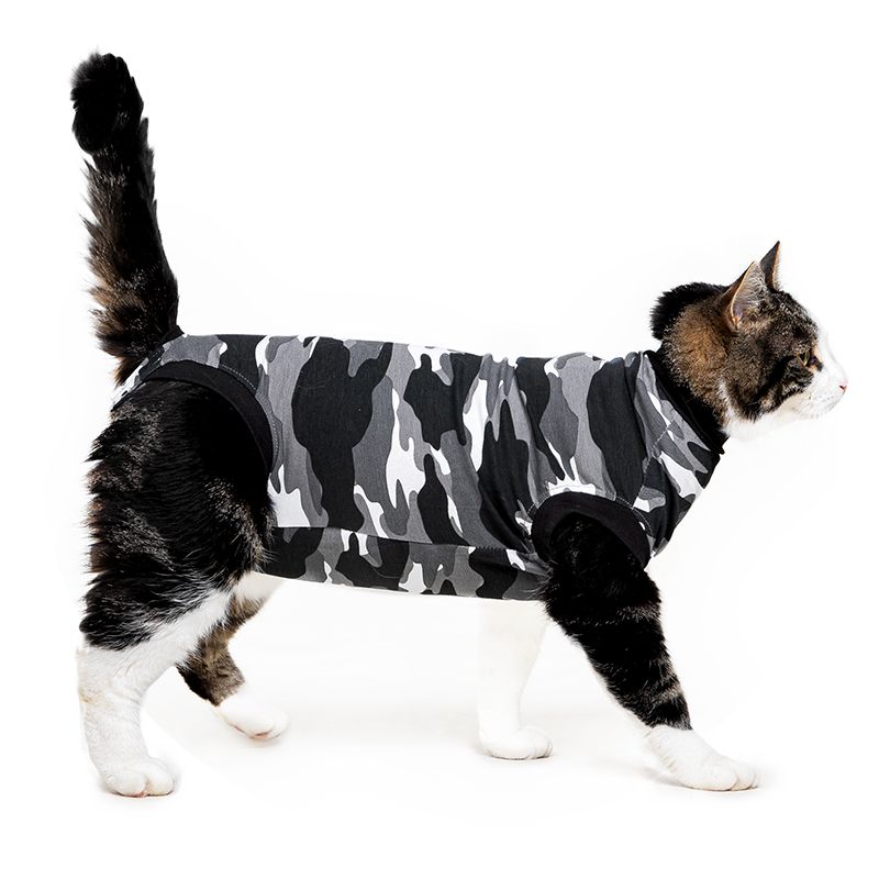 Suitical Recovery Suit for Cats | Shop Today. Get it Tomorrow ...