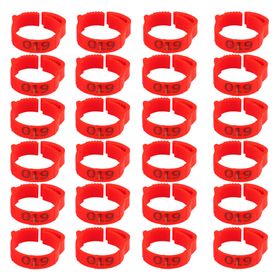 Pet Bird or Chicken Leg Identification Collar Tags Set of 24 (2cm ...