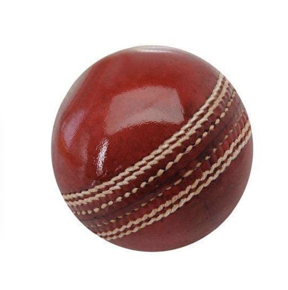 Investify Practice Cricket Ball 6 Pack | Shop Today. Get it Tomorrow ...