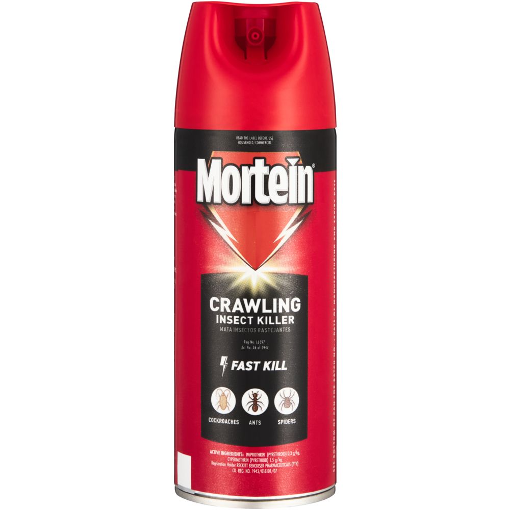 Mortein 300ml, Fast Kill, Crawling Insect Spray | Shop Today. Get it ...