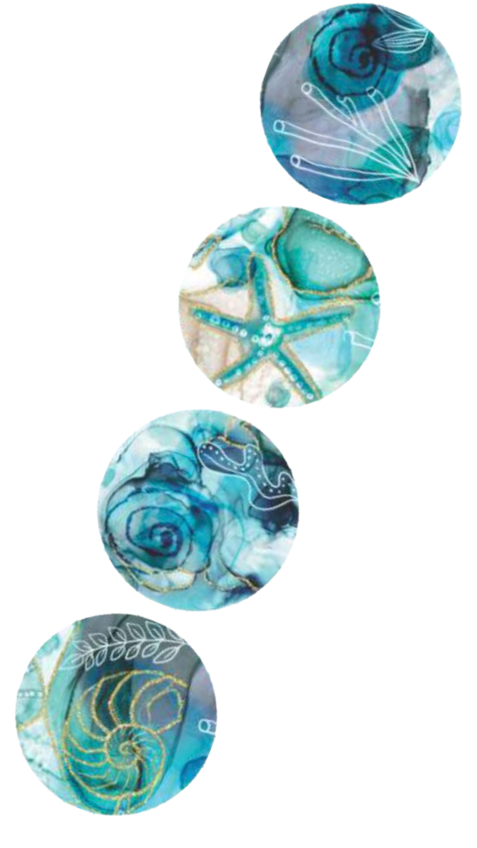 Beautiful Blue Sea Shell Wooden Coasters | Shop Today. Get it Tomorrow ...