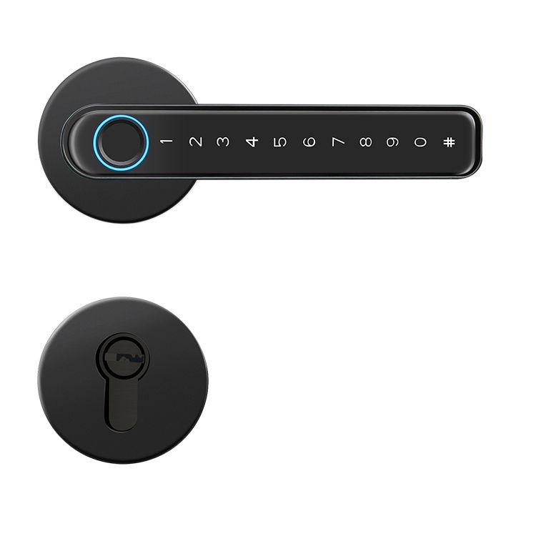 Smart Intelligent Door Lock via TUYA App | Shop Today. Get it Tomorrow ...