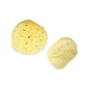 Natural Make Up Removal Sponge | Shop Today. Get it Tomorrow ...
