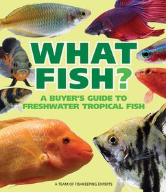 What Freshwater Fish?: A Buyer's Guide to Tropical Aquarium Fish | Buy ...