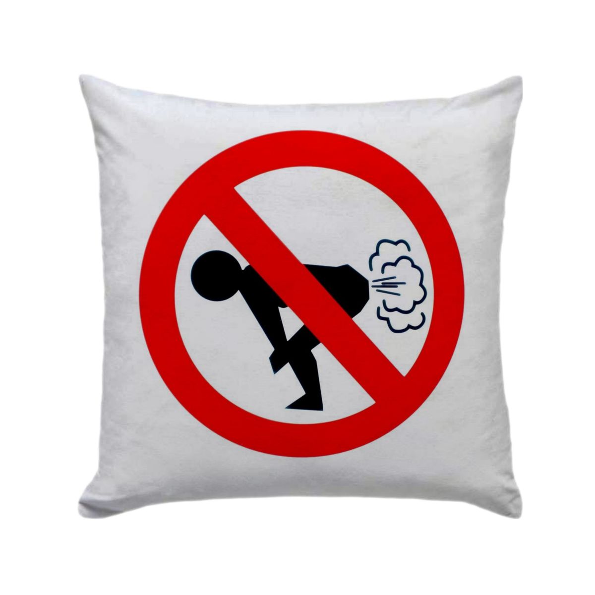 No Fart Zone Decor Pillow 30cm x 30cm | Shop Today. Get it Tomorrow ...