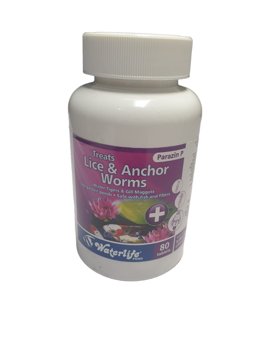 Waterlife – Parazin P – 80 Tablets | Shop Today. Get it Tomorrow ...