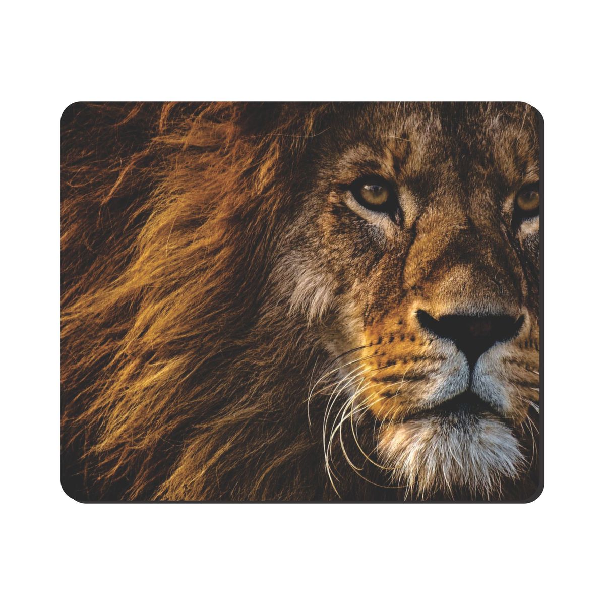 Mouse Pad - Lion Head | Shop Today. Get it Tomorrow! | takealot.com