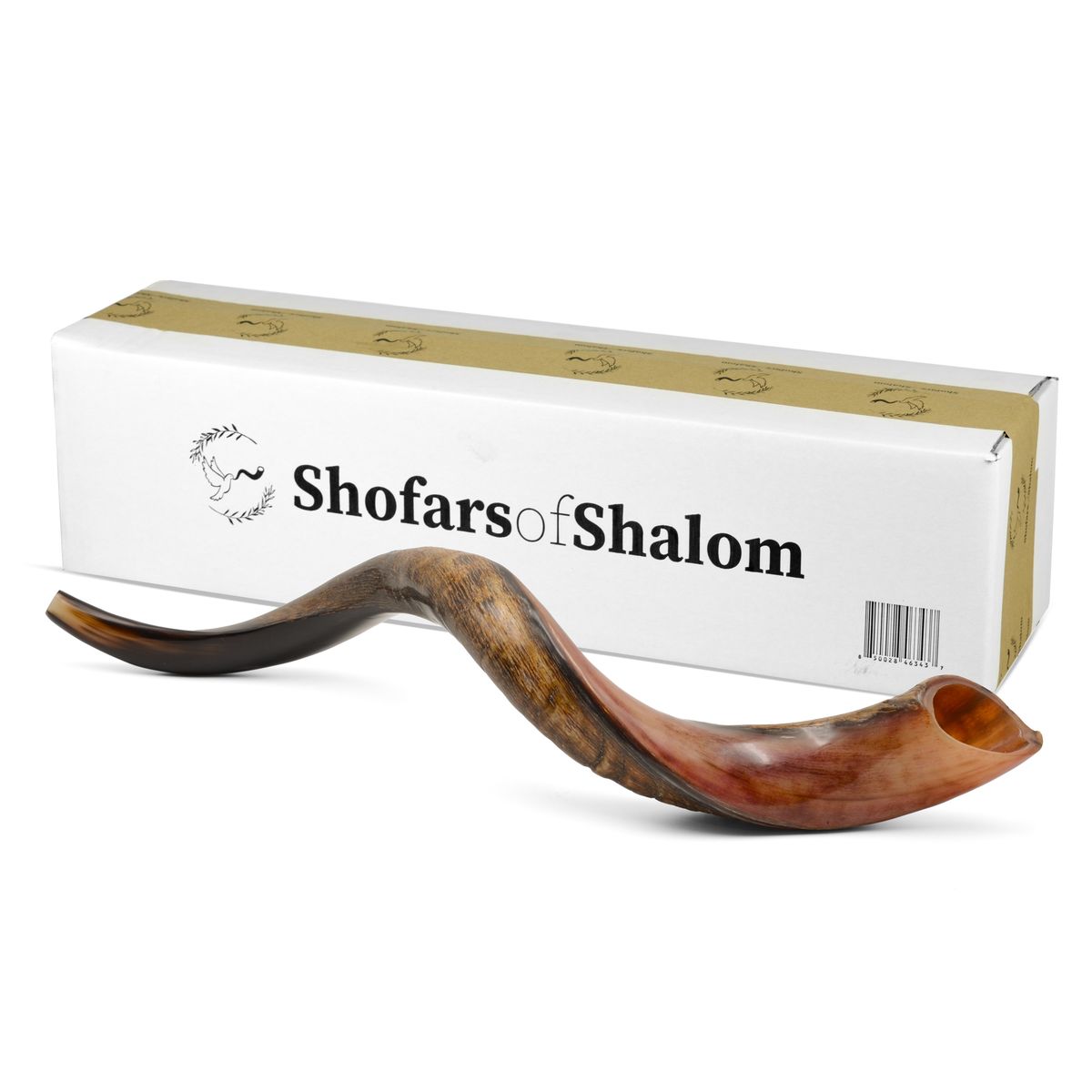 Shofars of Shalom - Deluxe Kudu Shofar Horn | Shop Today. Get it ...