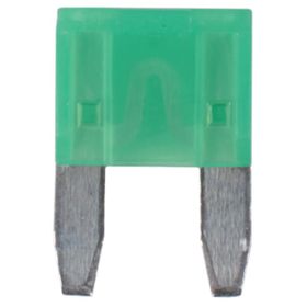 Zeeman Mini Automotive Plug-In Fuses - 30 Amp (Pack of 100) | Shop ...