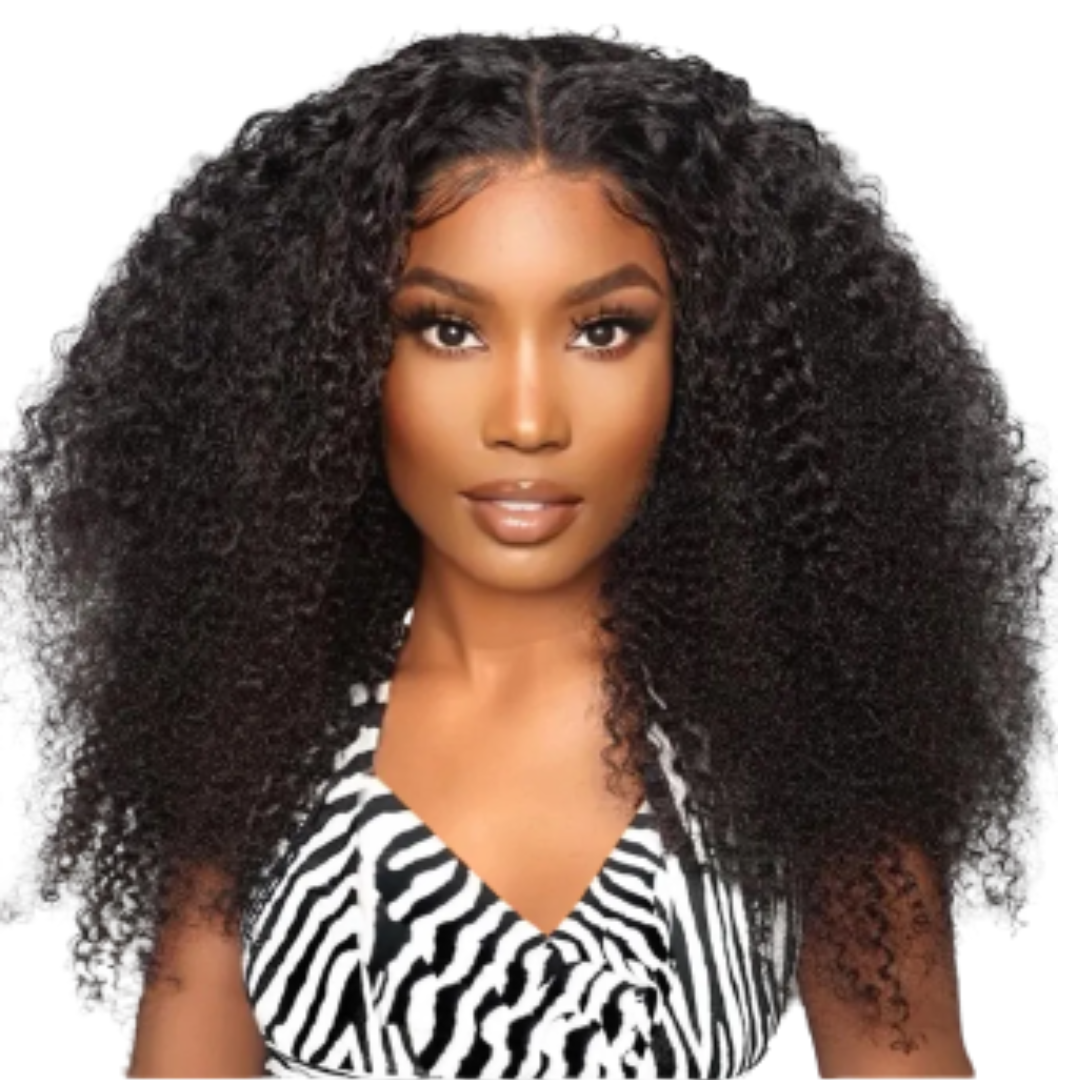 Brazilian Hair Wig Kinky Curly Wig With 4x4 Closure Shop Today Get