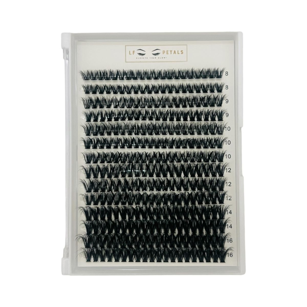 LF Petals DIY Lashes 280 Piece- 60D | Shop Today. Get it Tomorrow ...
